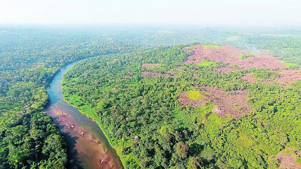 La Mosquitia: Narcos arrasan con la reserva del Río Plátano