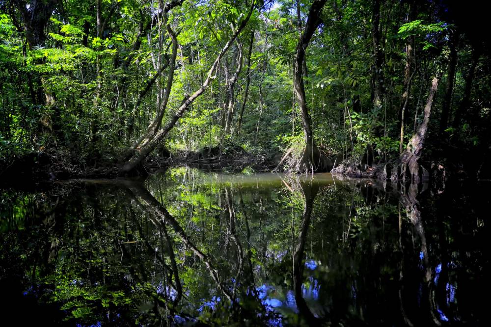 Riqueza Natural: Explorando la Biodiversidad en Honduras