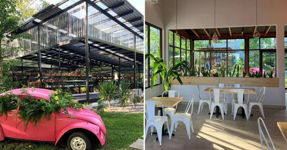 “Caobas Vivero & Café”: un nuevo y espectacular lugar en San Pedro Sula ...