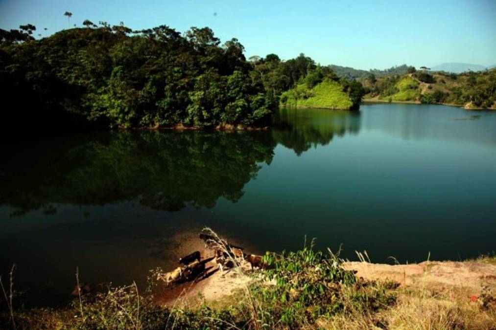 Conozca las bellezas del parque Cerro Azul Meambar