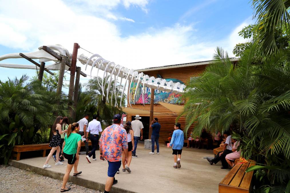 Unos 182 mil visitantes al año recibe el Acuario Marino de Tela