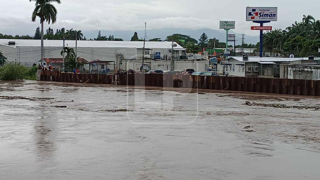 El río Chamelecón mantiene en zozobra a La Lima, Cortés (Fotos)