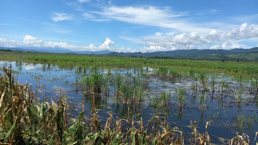 FOTOS: El río Ulúa comienza a filtrarse en El Progreso, Yoro, y amenaza ...