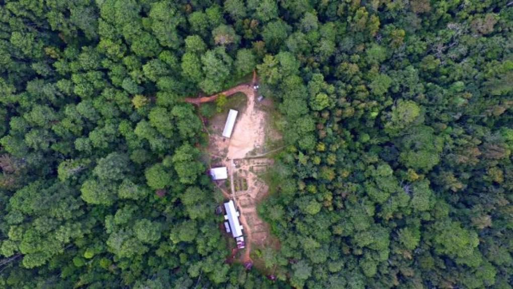 Los 10 datos que no sabías del Parque Nacional Cusuco