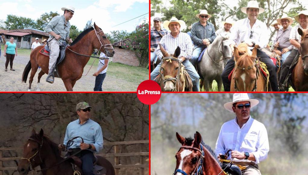 La afición de Juan Orlando Hernández por sus caballos pura sangre, a ...