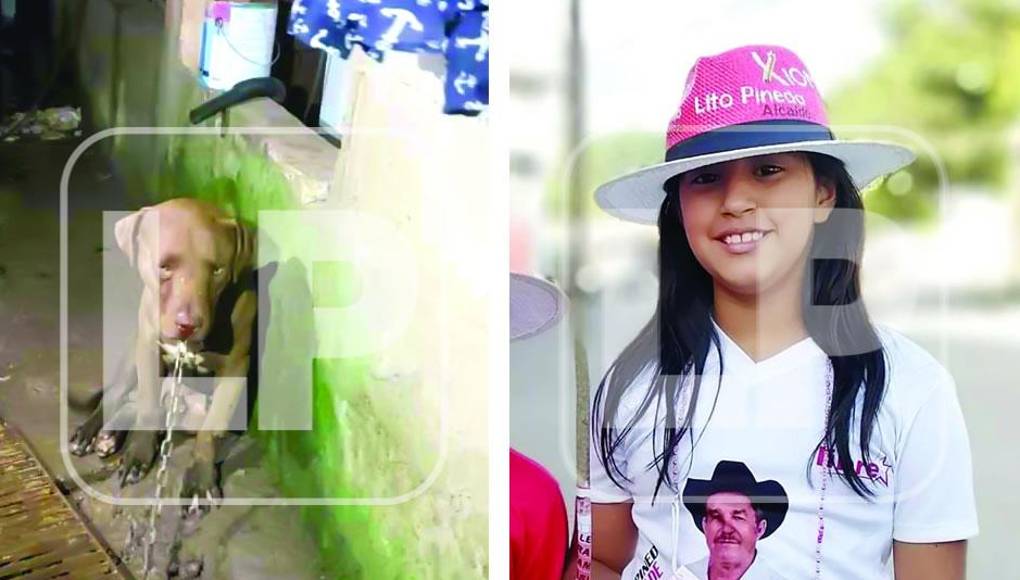 “Tenía los ojos abiertos”: Desgarrador relato del padre de Nahomy ...