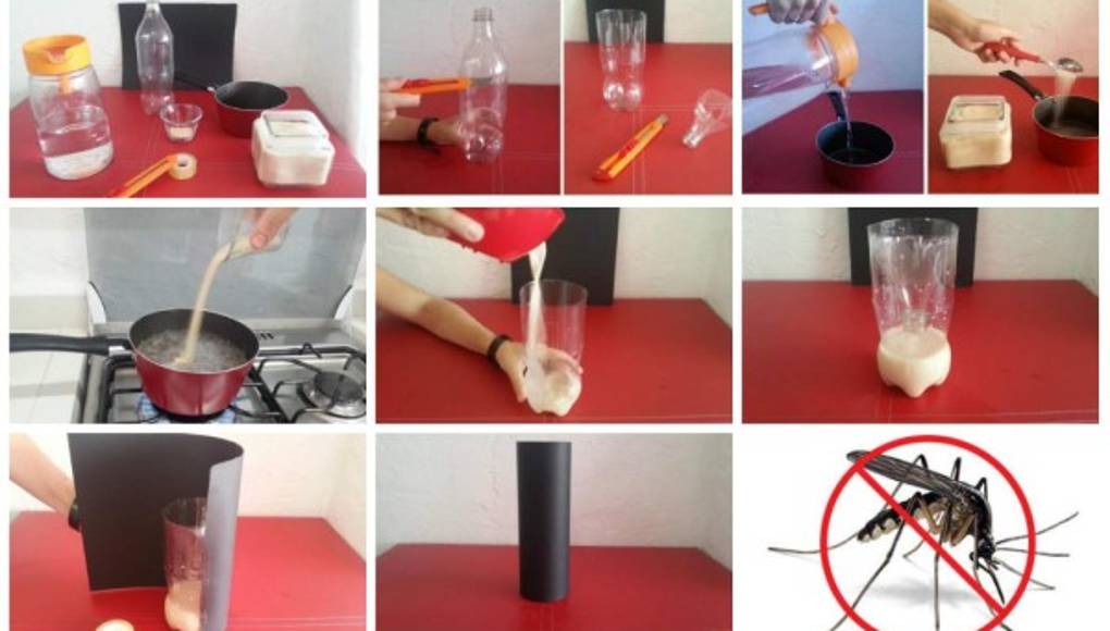 Cómo crear una trampa para zancudos casera - Diario La Prensa