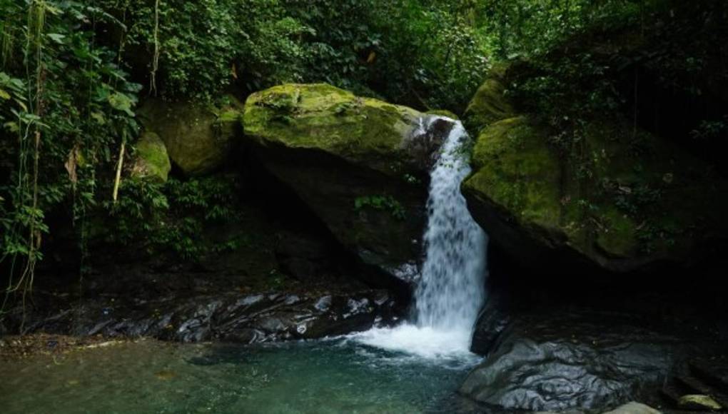 Ruta 504: Omoa, el otro edén del caribe hondureño, ¡visítalo! - Diario ...