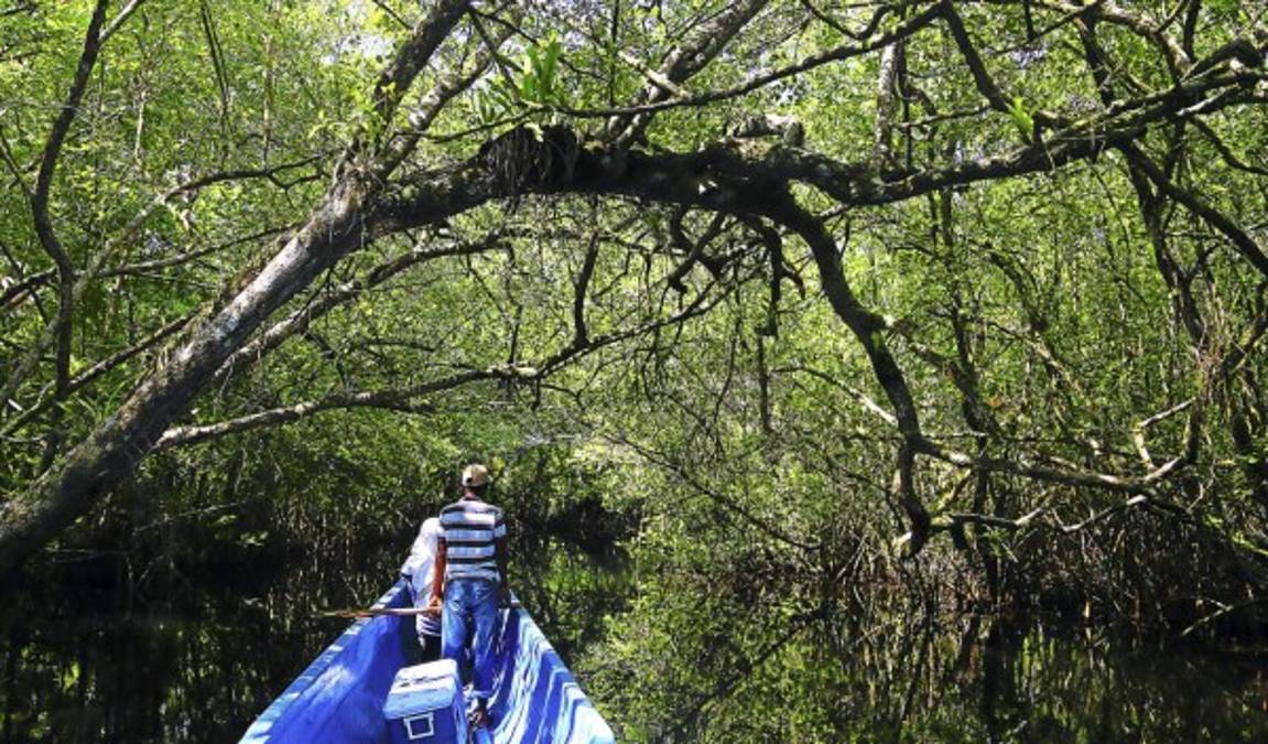 La Mosquitia, un destino para el ecoturístico