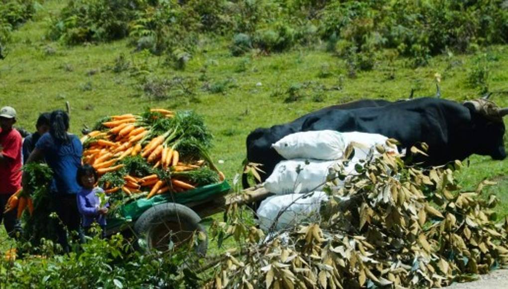 Ruta Lenca: Caminando por Intibucá, La Esperanza y Yamaranguila ...
