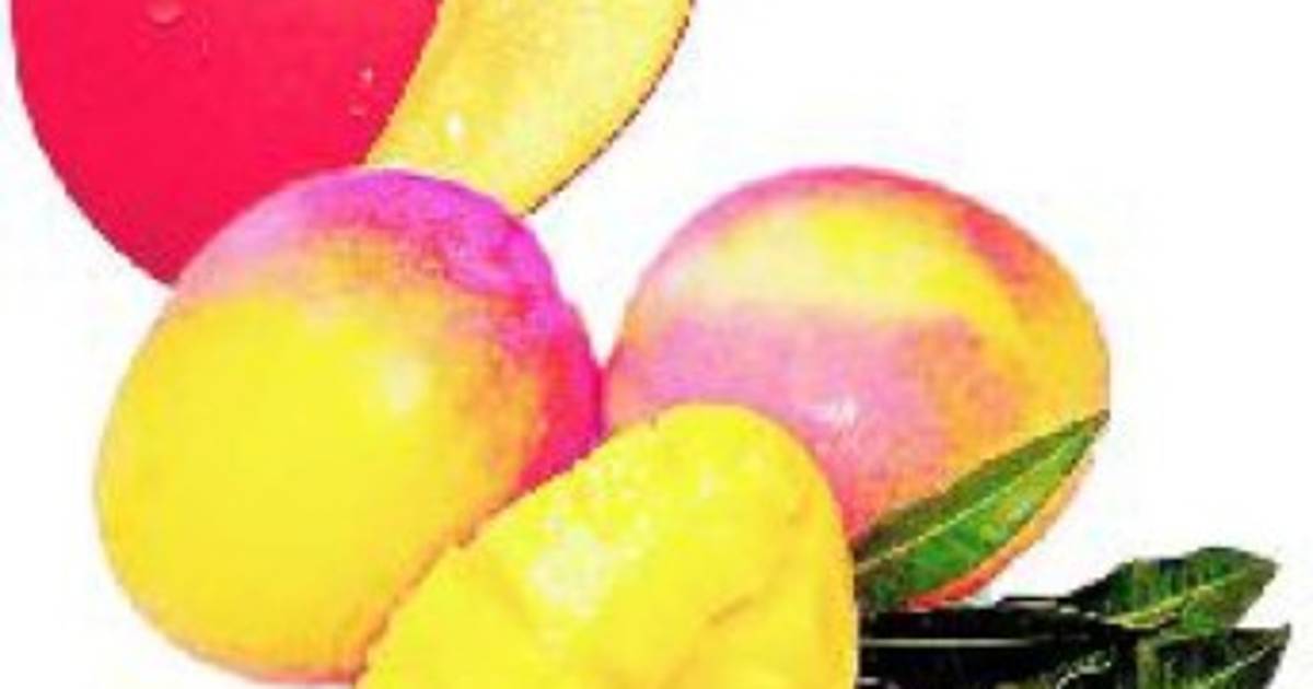 Llegó la hora del mango