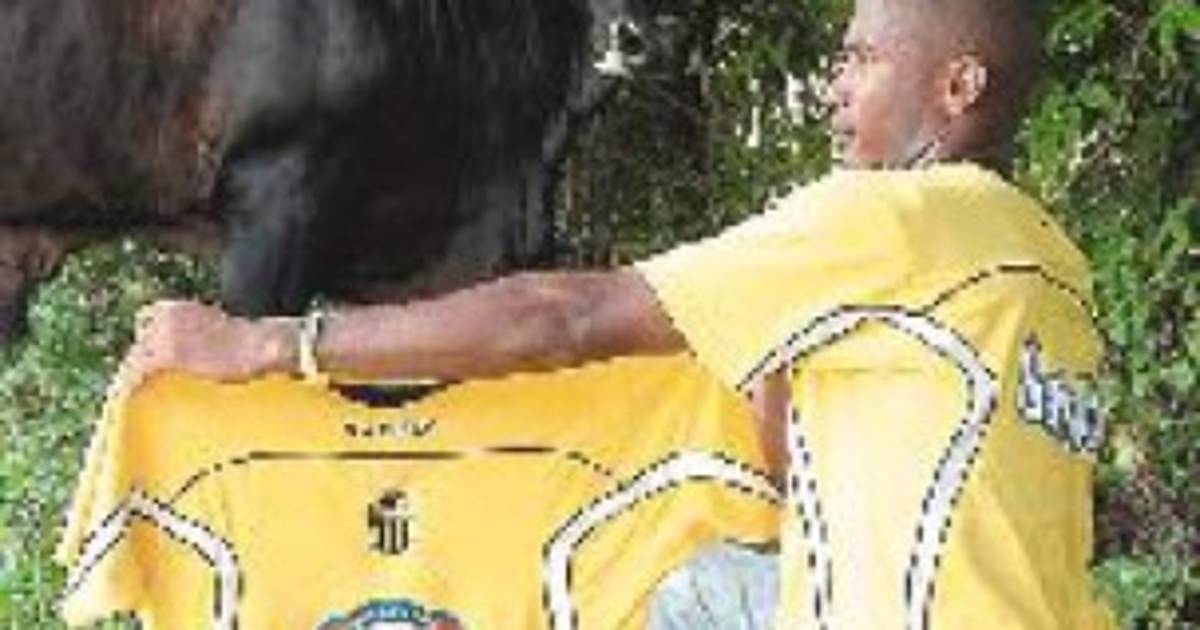 Allan Lalín quiere torear