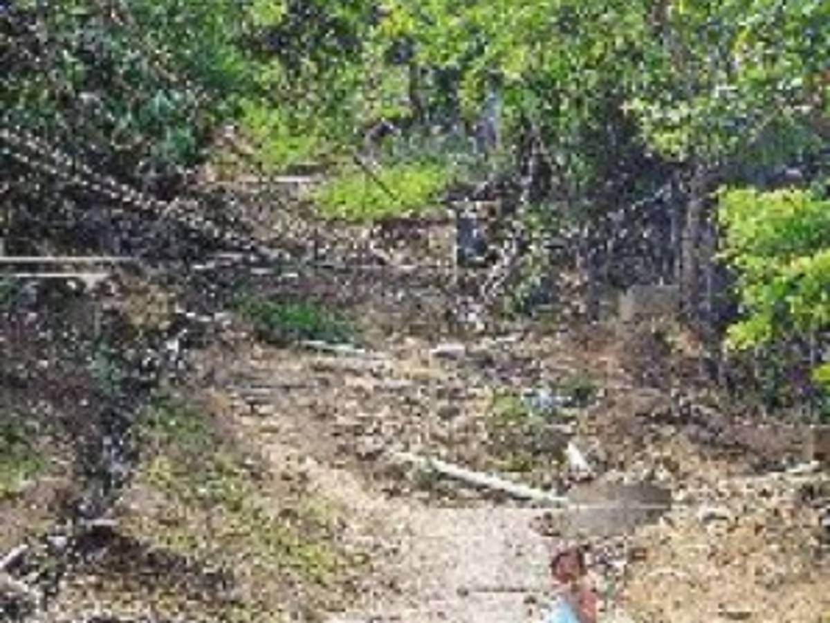 Miguel Yánez, electo el cuarto barrio-ciudad - Diario La Prensa