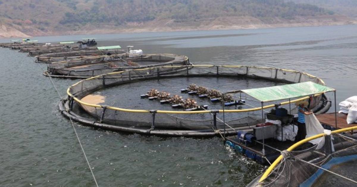 Los altos costos son una traba para los productos no tradicionales