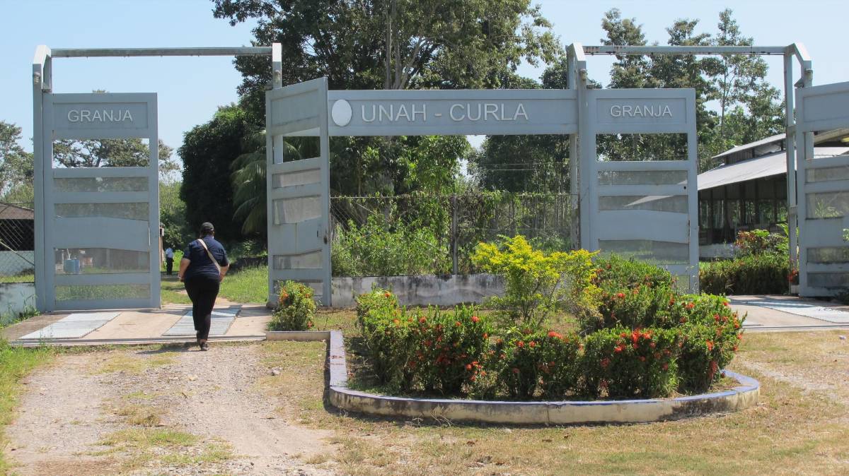 El Curla recupera su esplendor luego de nueve meses de crisis