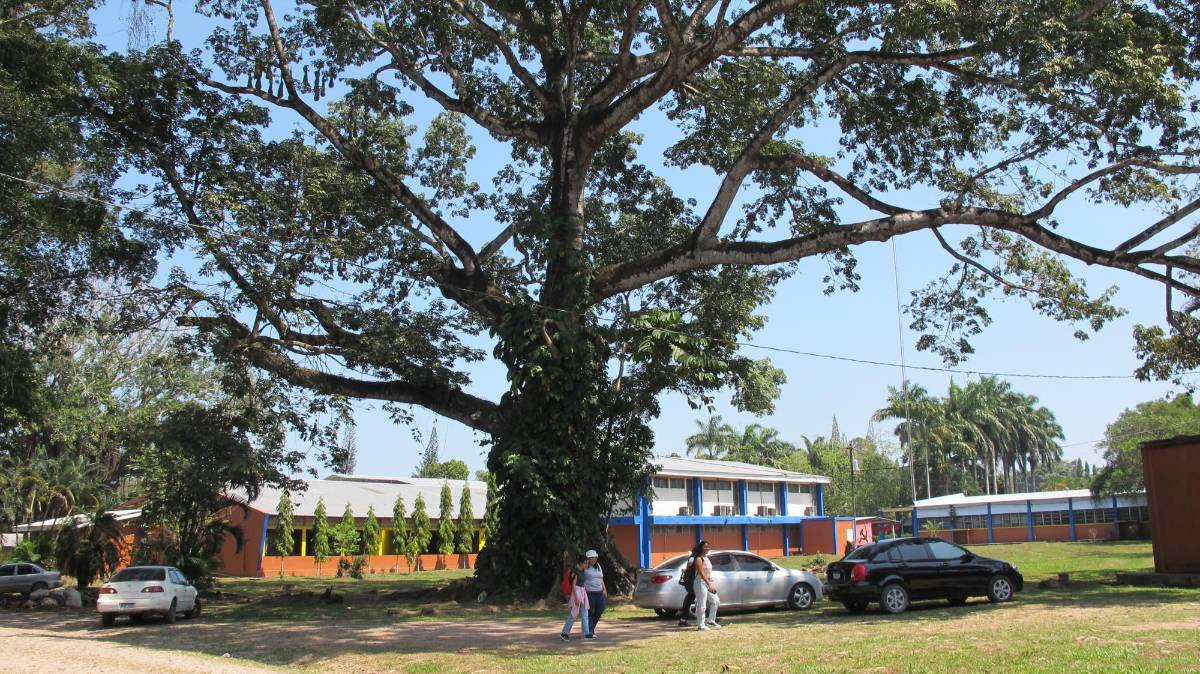 El Curla recupera su esplendor luego de nueve meses de crisis