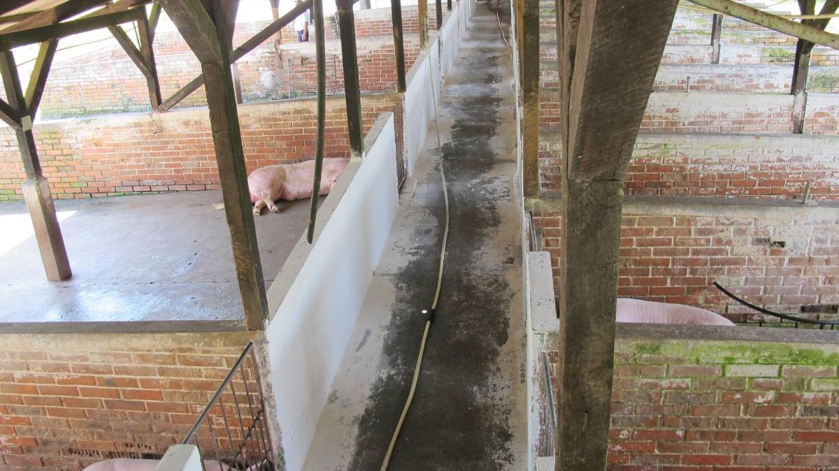 El Curla recupera su esplendor luego de nueve meses de crisis