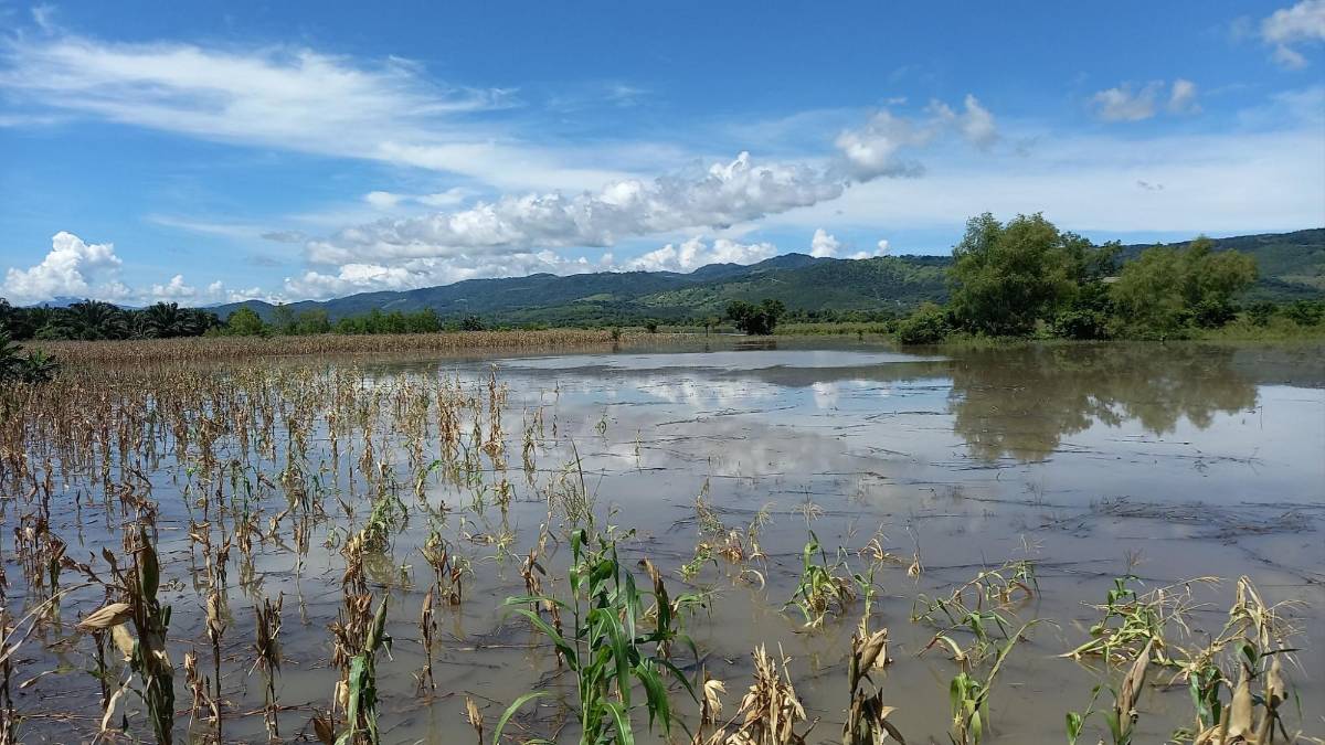 FOTOS: El río Ulúa comienza a filtrarse en El Progreso, Yoro, y amenaza ...