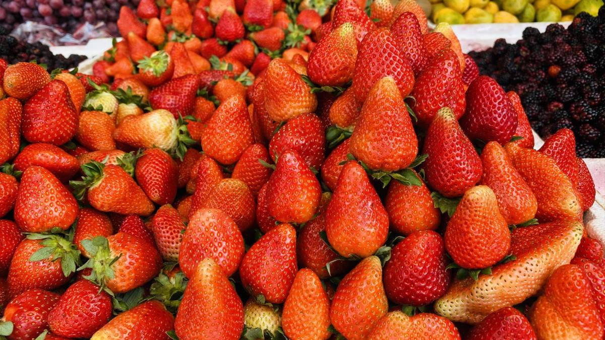 Intibucá, el paraíso fresco de Honduras que desafía el calor