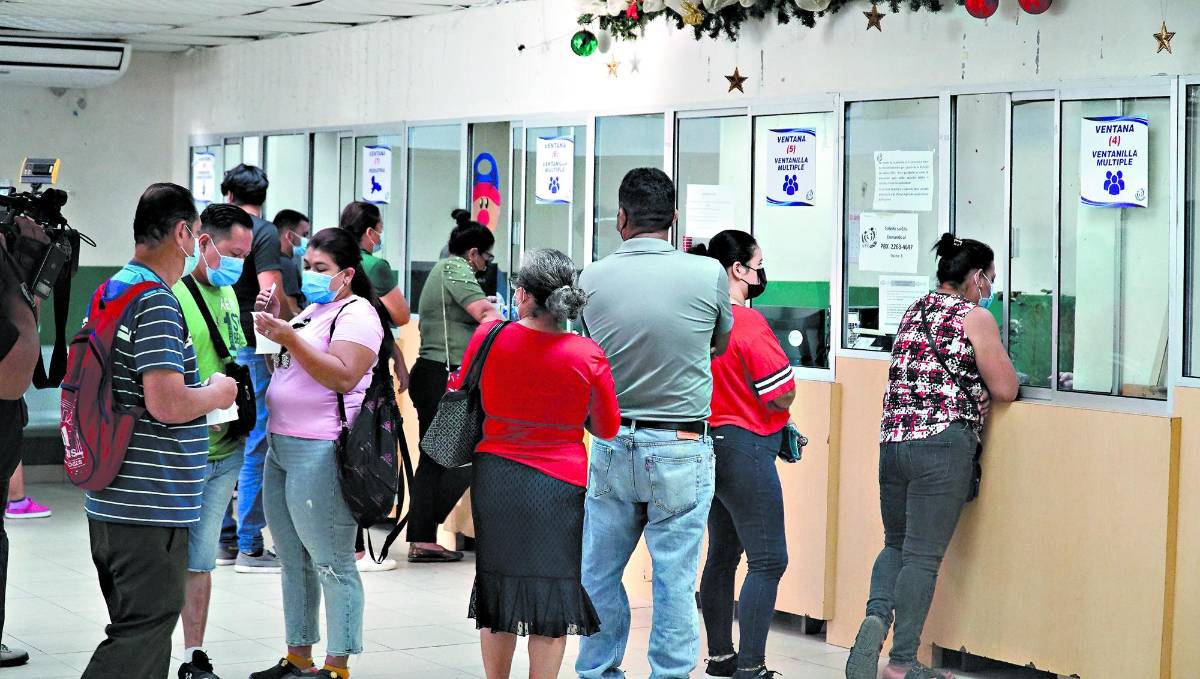 Con L400 millones buscan afiliar a docentes al IHSS