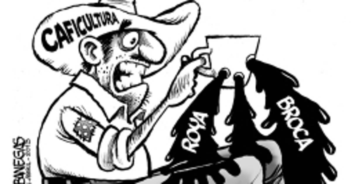 Esfuerzos en vano