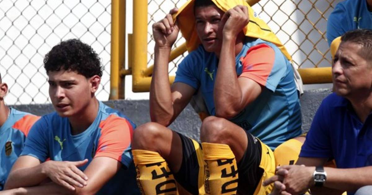 Edder Delgado con ofertas de otros equipos de la Liga Nacional