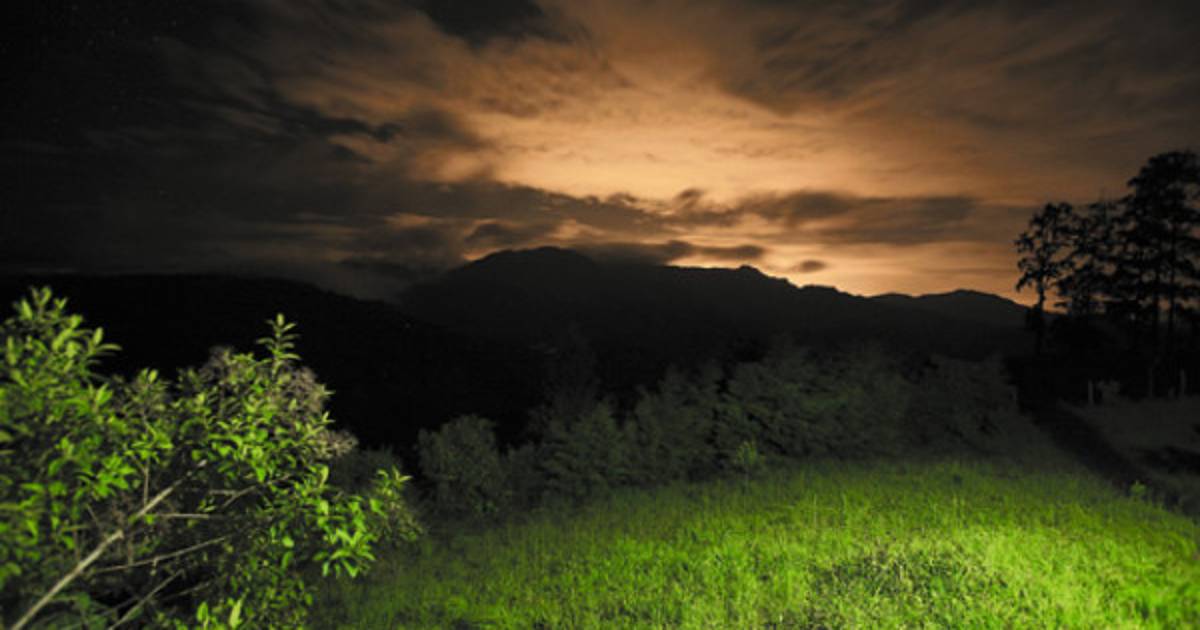 Descubra el impresionante Parque Nacional Cusuco