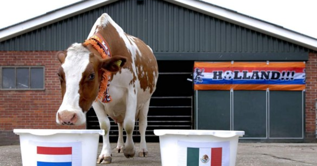 Vaca pronostica triunfo de Holanda sobre México