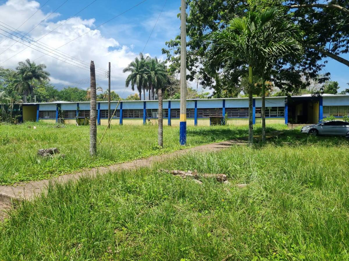 Llega comisión a evaluar daños en edificios del Curla para reconstruirlos