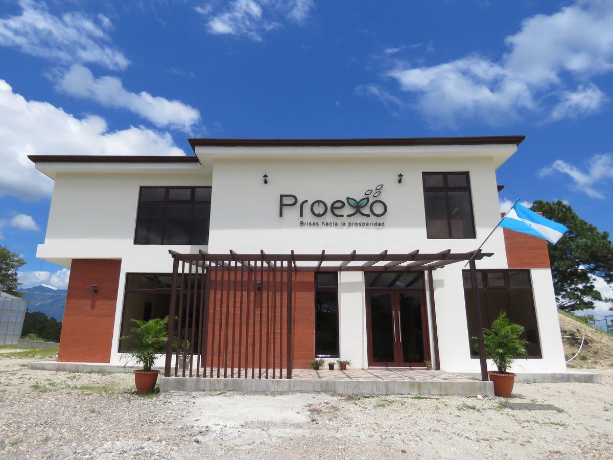 Liderando con innovación y sostenibilidad: el impacto de Proexo en la caficultura hondureña