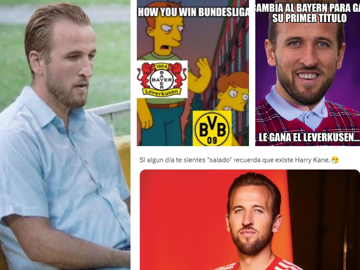 Memes De Kane Weekly Meme Pack (#1) Theme: Sanubis | Fandom