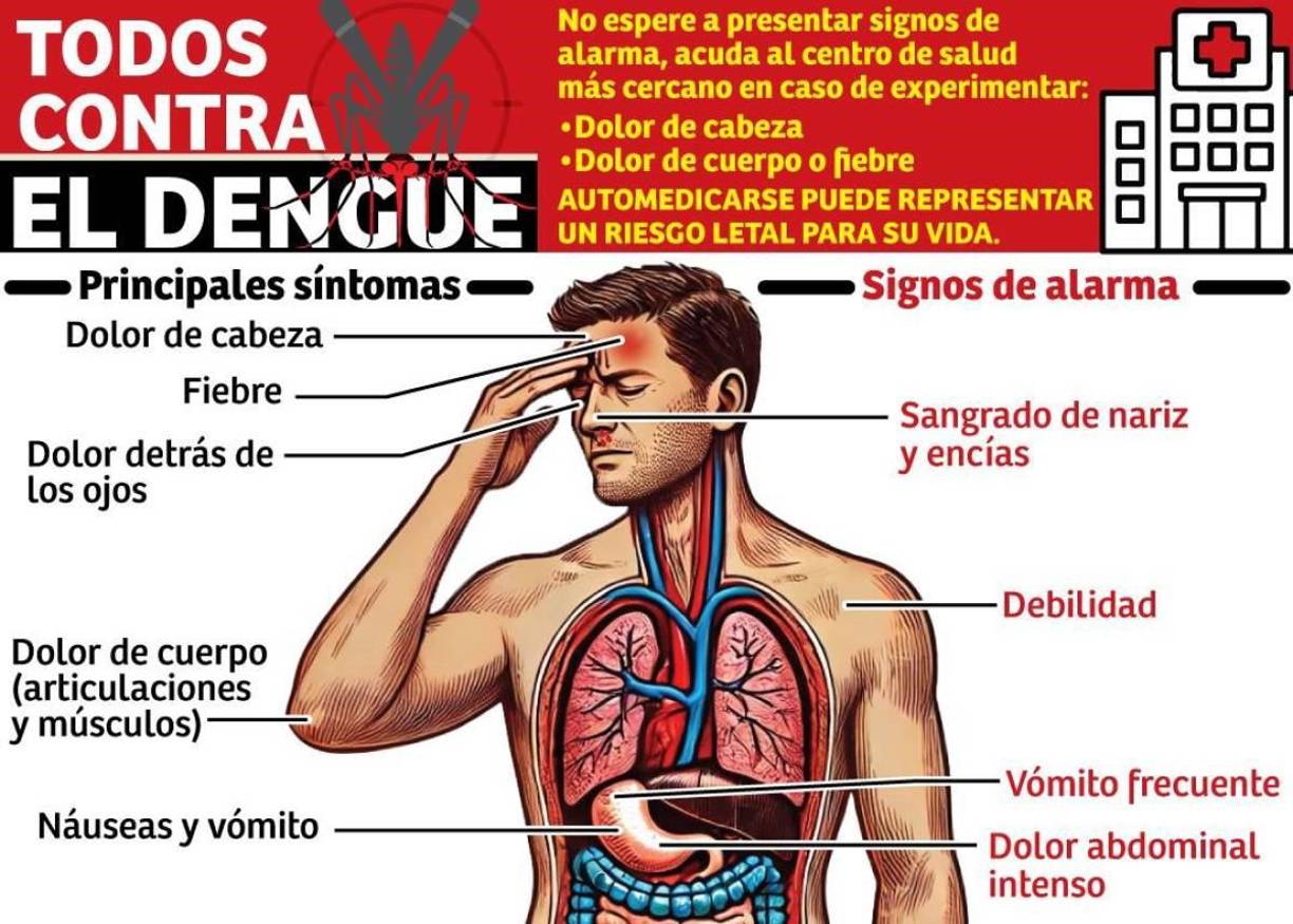 ¿Qué es el dengue, cómo se transmite y cuáles son los síntomas?
