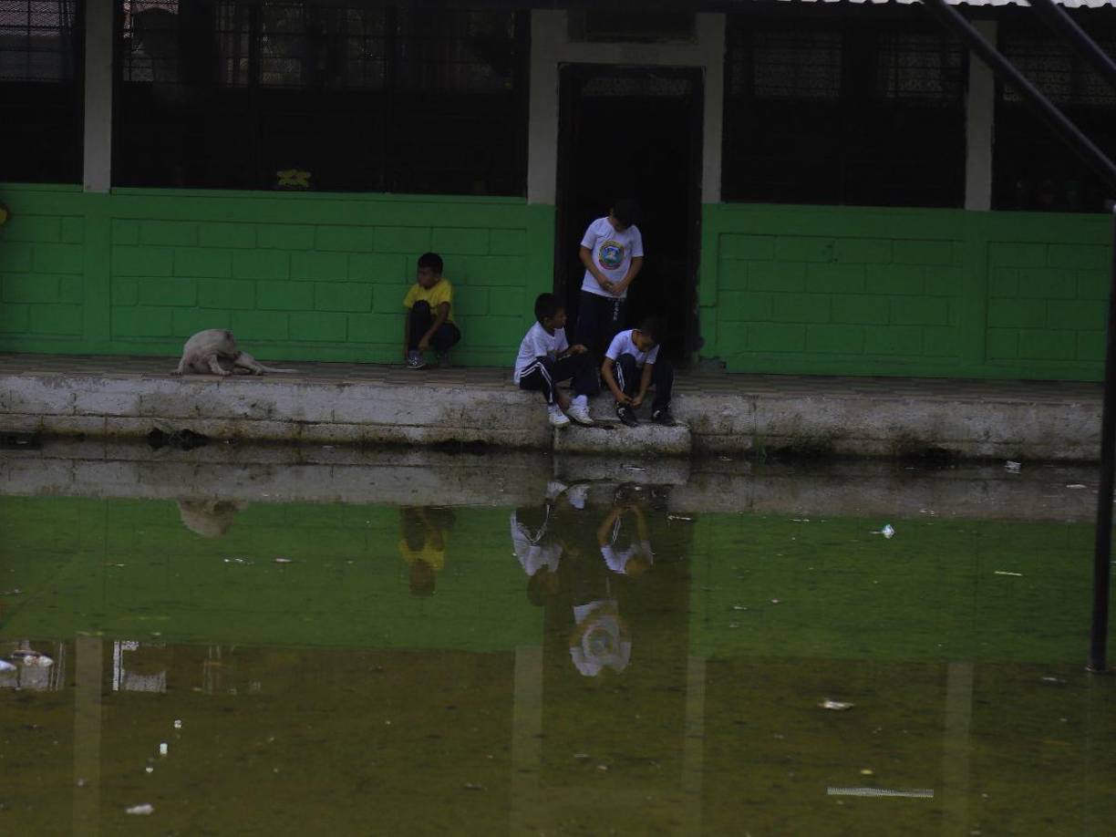 Inundaciones y abandono: El rostro de las escuelas en la Rivera Hernández