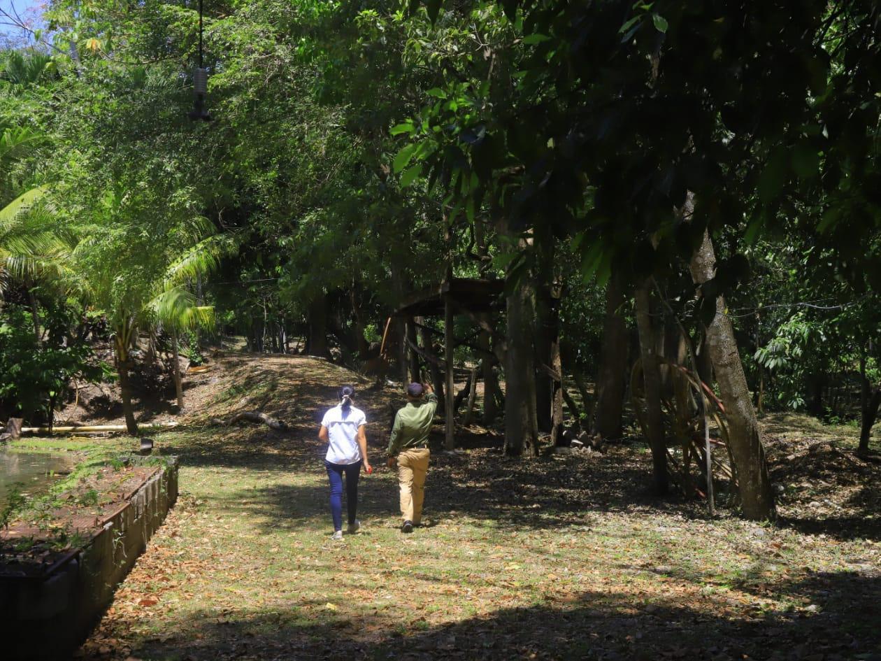 Calan Park y El Ocote: atractivos turísticos que ofrece Villanueva