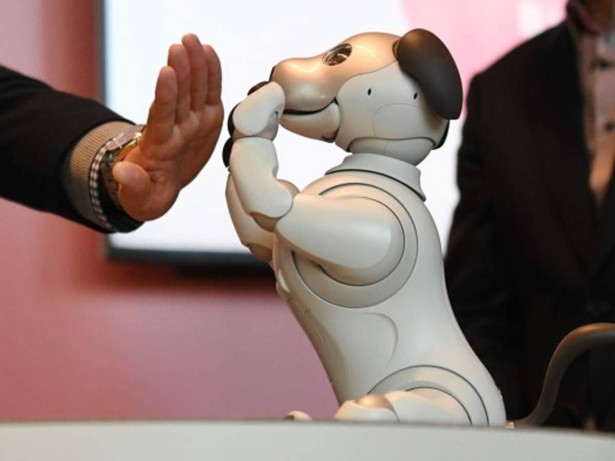 Aibo, el perro robot de Sony arrasa entre consumidores - Diario La Prensa