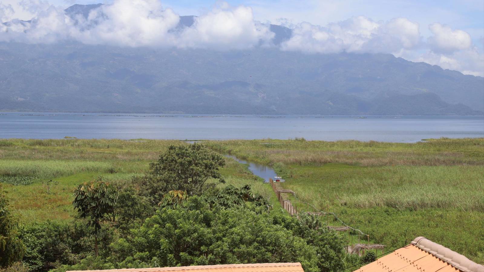 Lago de Yojoa se está quedando sin oxígeno