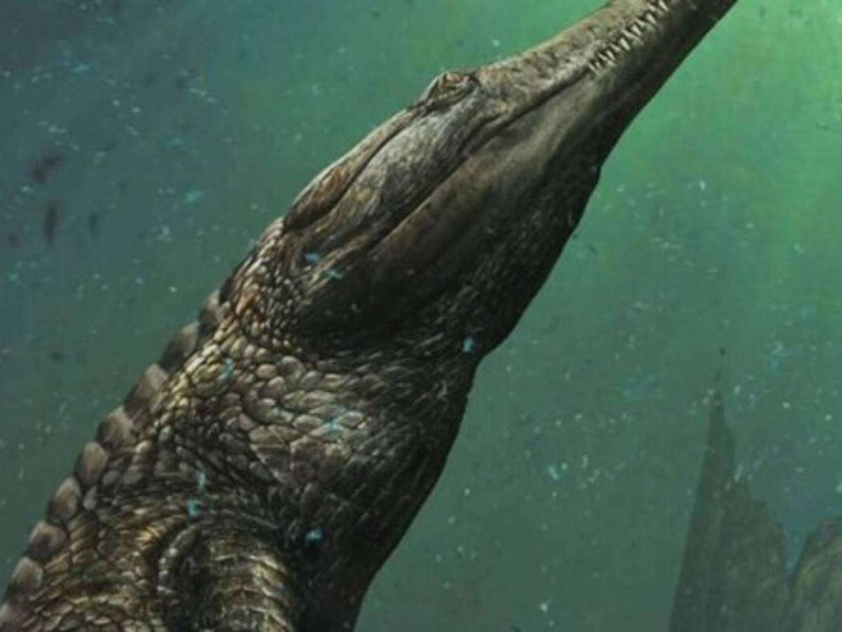 Descubren cocodrilo marino del tamaño de un 'monstruo' - Diario La Prensa