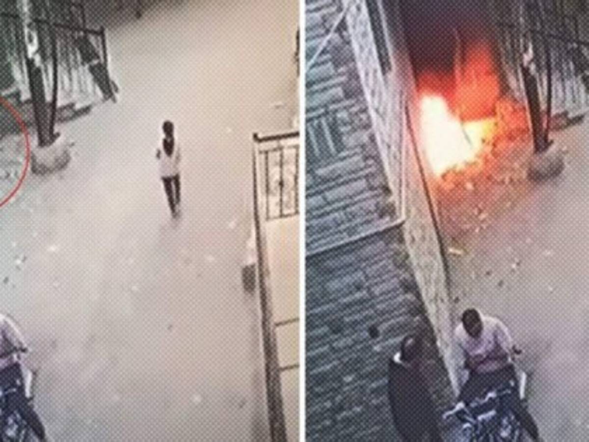 Video viral: Gato provoca un incendio a plena luz del día - Diario La ...