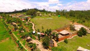 Zoológico Joya Grande ya tiene fecha de reapertura