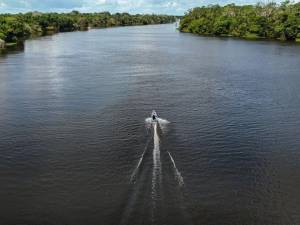 Este video de la anaconda gigante en el Amazonas fue creado con IA
