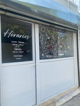 Fátima, la periodista que cambió el micrófono por los pétalos