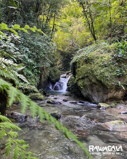 Rawacala: la mejor experiencia de ecoturismo y adrenalina