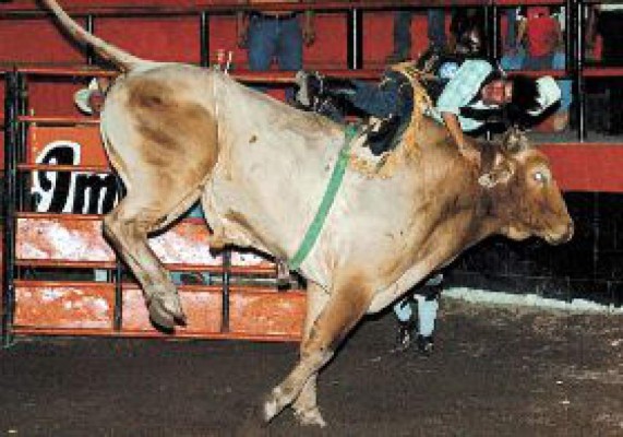 A vivir el gran rodeo centroamericano