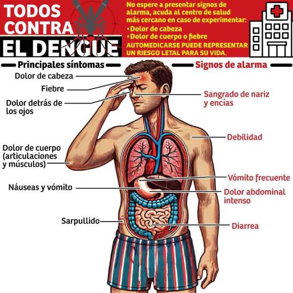 ¿Qué es el dengue, cómo se transmite y cuáles son los síntomas?