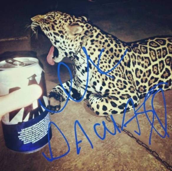 Mujeres, armas y drogas: Los extravagantes lujos del 'Mini Lic' en ...