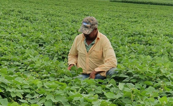 Productores valoran productos y asistencia técnica de Cadelga