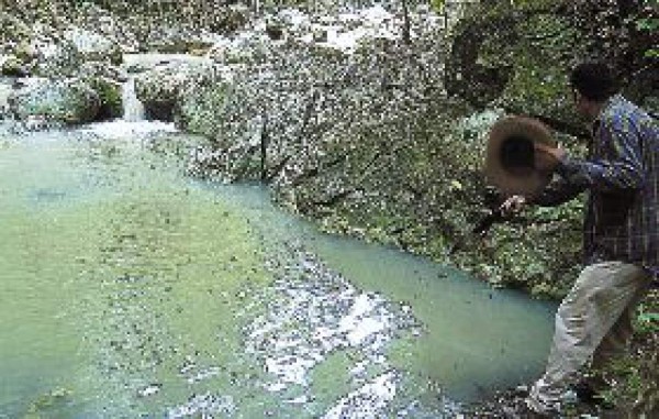La quebrada encantada