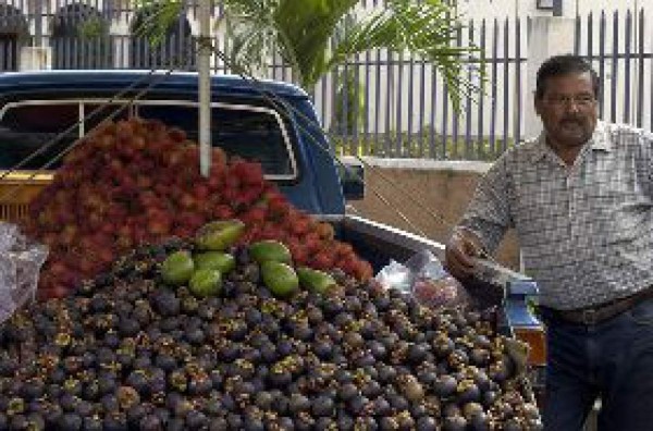 Un obrero del sabor tropical