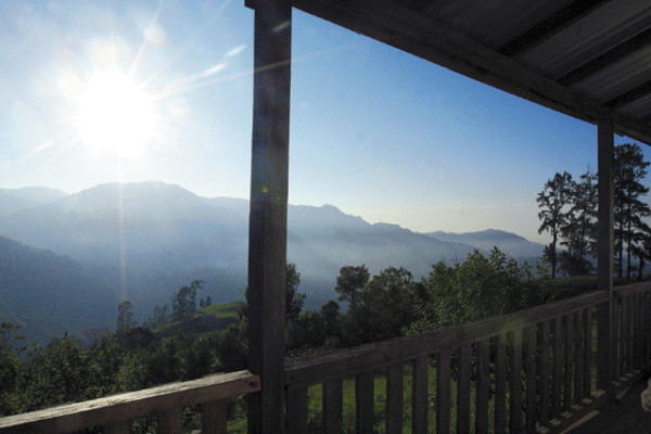 Descubra el impresionante Parque Nacional Cusuco