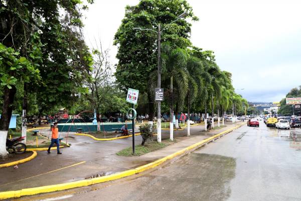 Economía de Tocoa busca resurgir tras incautaciones a narcos